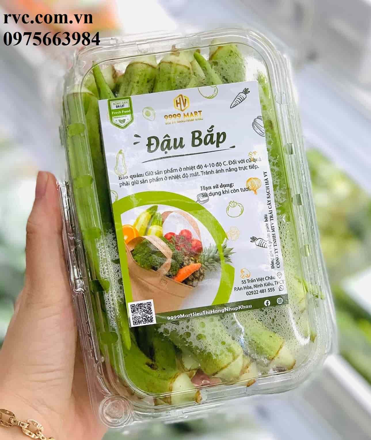 Hộp Nhựa Đựng Trái Cây-P500B - CÔNG TY TNHH RVC